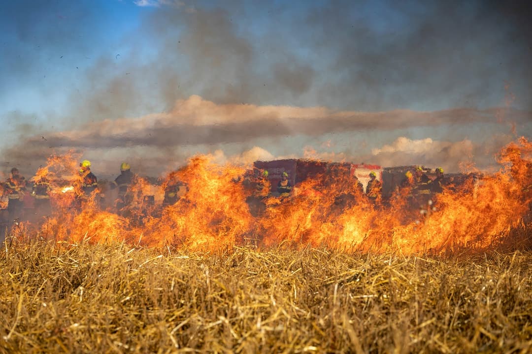 Weaponized Wildfire: The National Security Risks of Arson-Driven ...